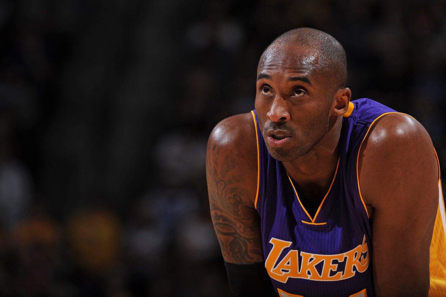 Kobe Bryant Injury: Updates on Lakers Star's Shoulder and Return ... Kobe Bryant Injury: Updates on Lakers Star's Shoulder and Return ...