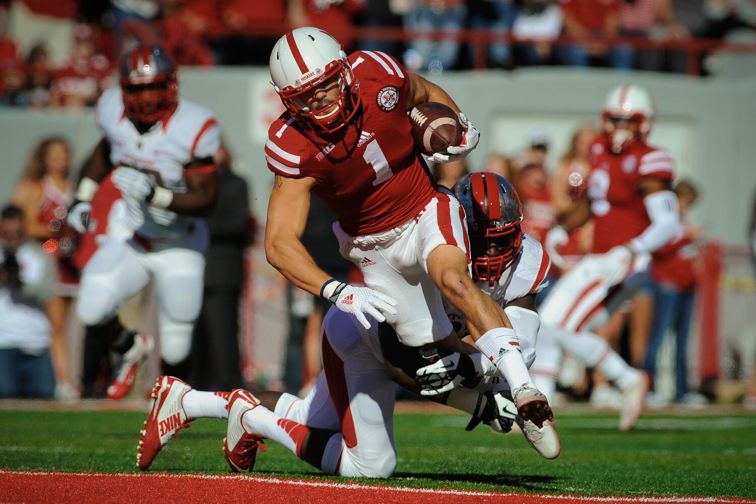 2015 2016 Nfl Ncaa Vpl And Bulges Page 10 Lpsg