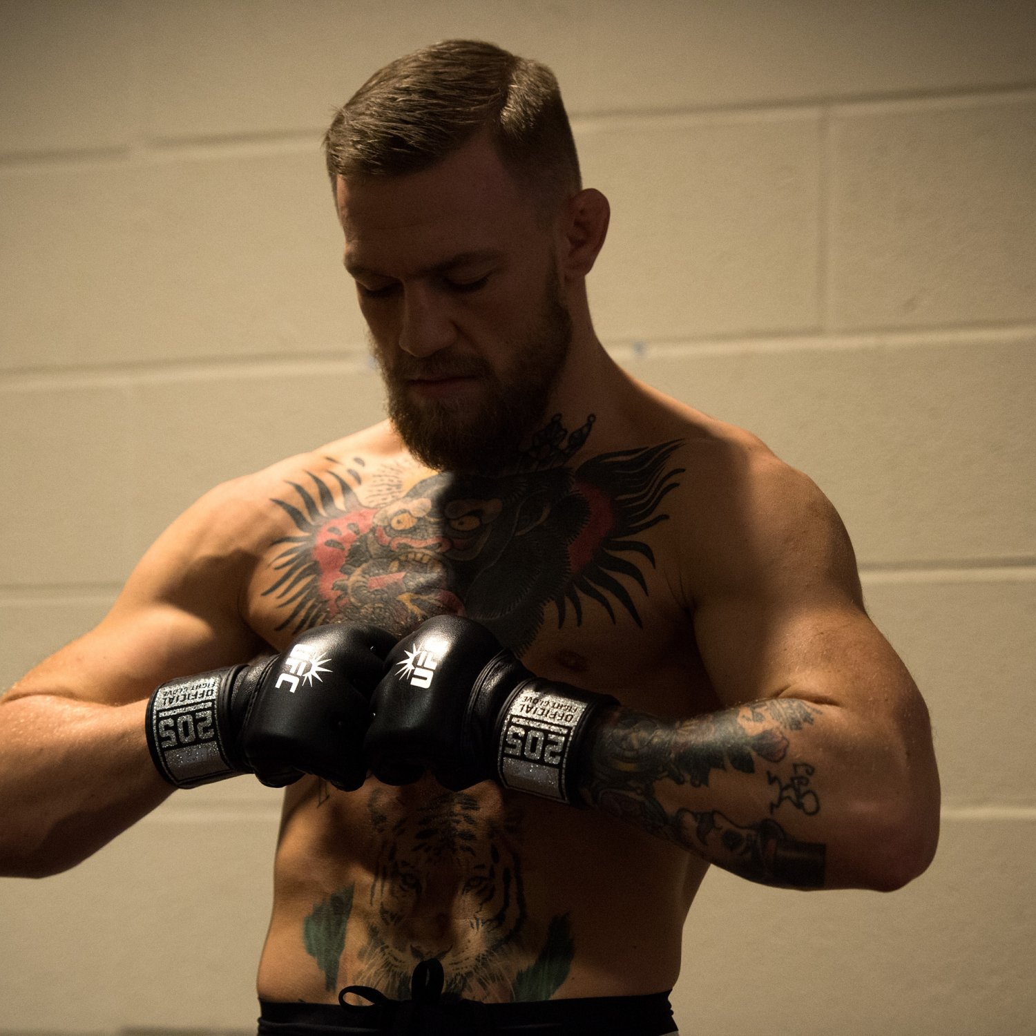 Conor Mcgregor Issued Boxing License In State Of California Bleacher