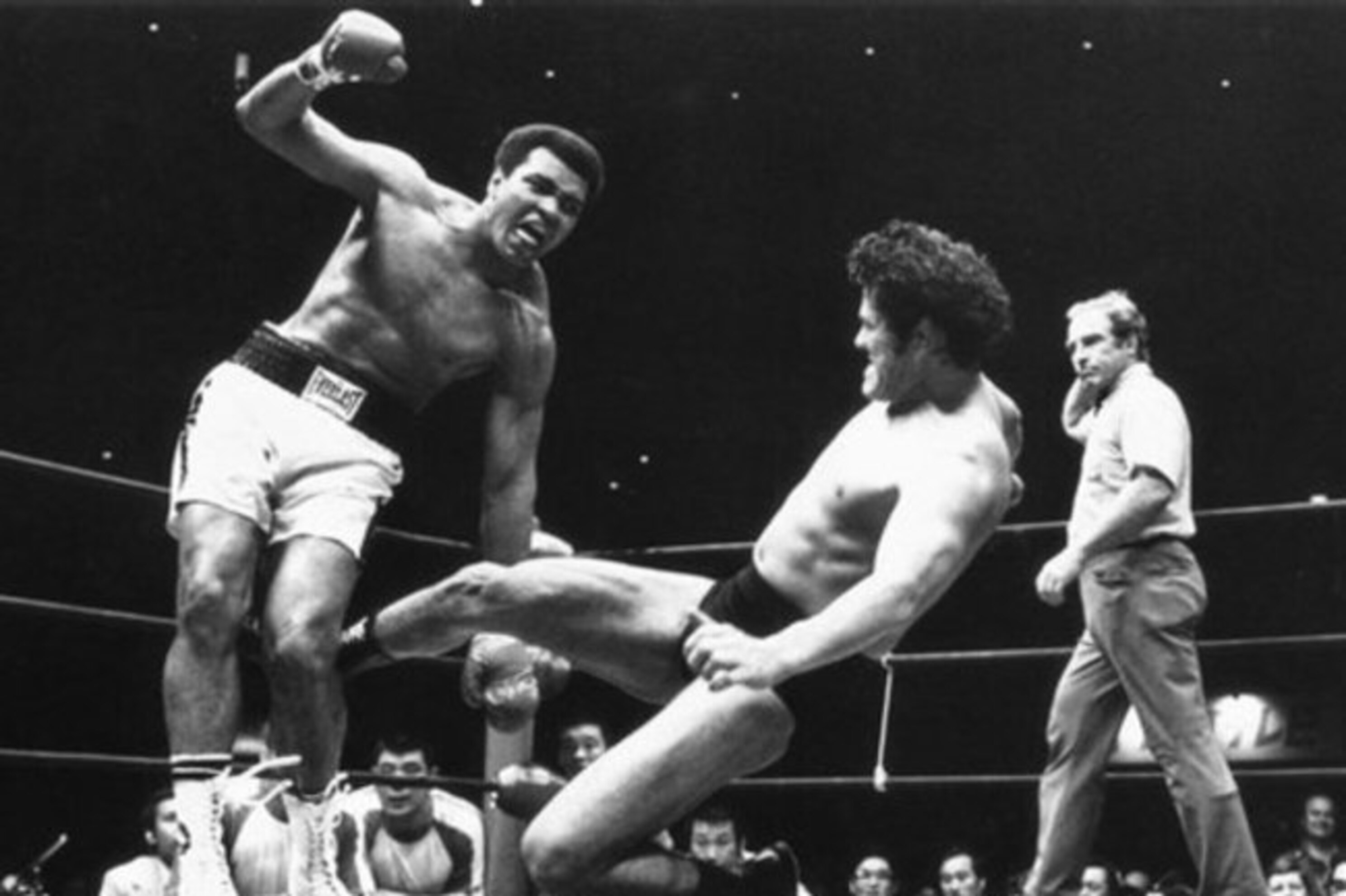 Ernie Ladd Vs Andre The Giant