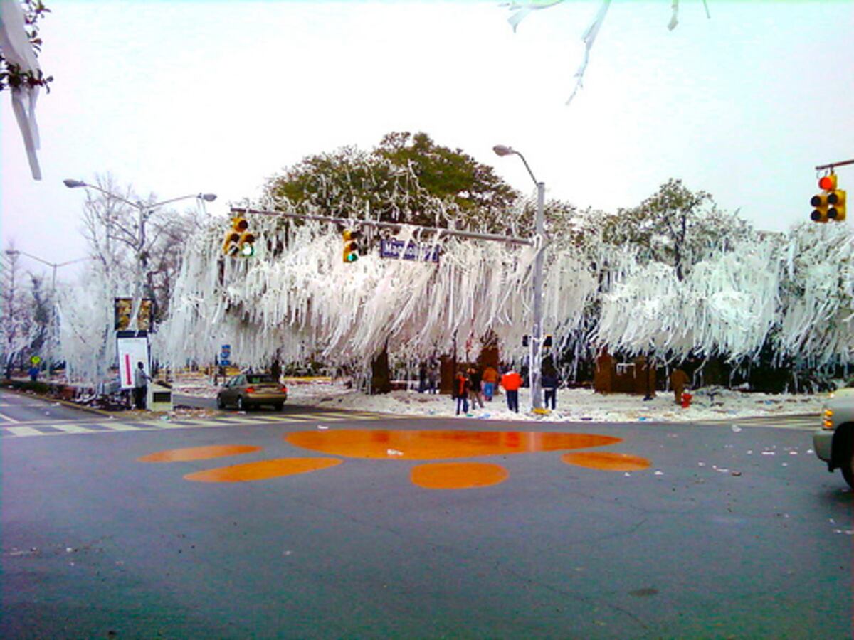 Auburn Football: What Would Toomer's Corner Trees Say About the ...