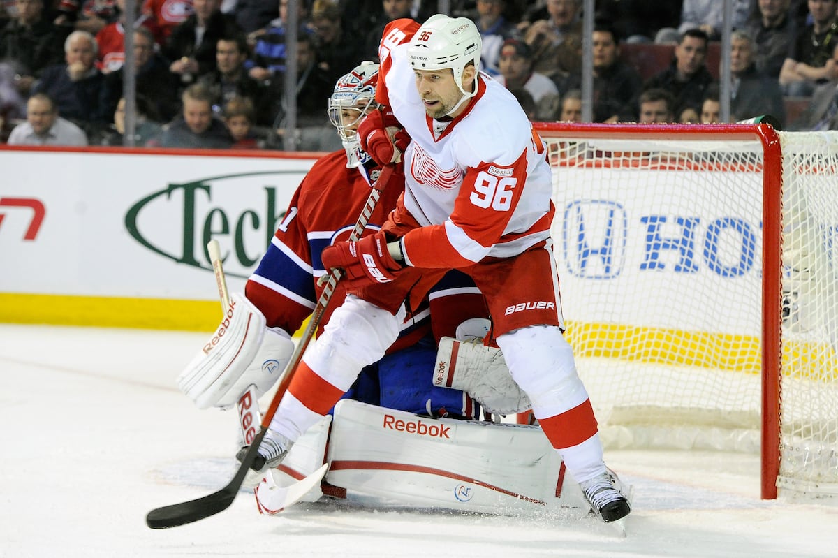 Detroit Red Wings Tomas Holmstrom: Just Another Crazy Hockey Player ...