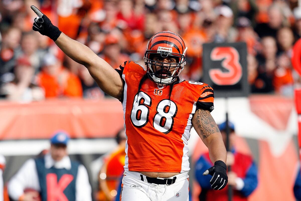 Jonathan Fanene to Sign with New England Patriots: Read and React ...