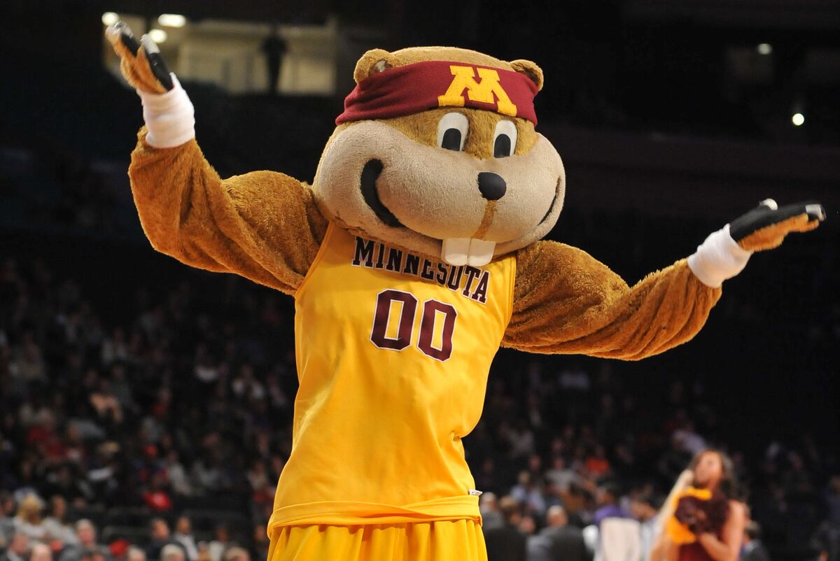 Stanford vs. Minnesota: Golden Gophers Are NCAA Bound in 2013 After ...