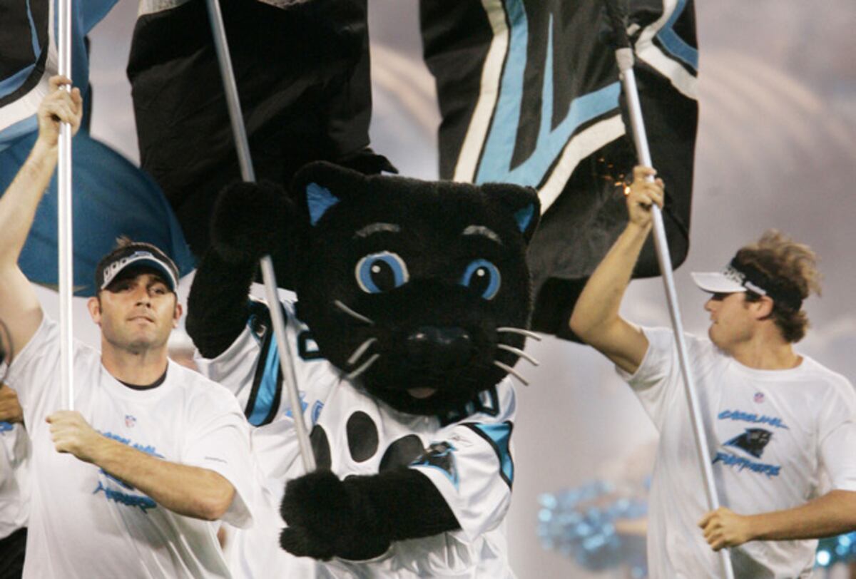 Carolina Panthers: Cam Newton Will Lead the Panthers to NFC South Title ...