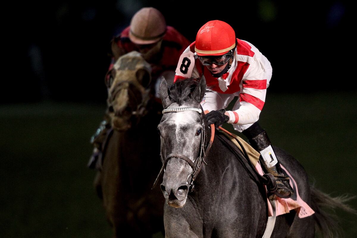 Blue Grass Stakes 2012: Hero of Order and Good Non-Hansen Horses to Bet ...