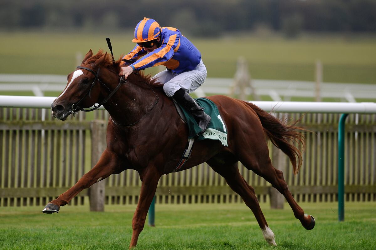 Kentucky Derby 2012 Post Positions: Daddy Long Legs Will Be Doomed by ...