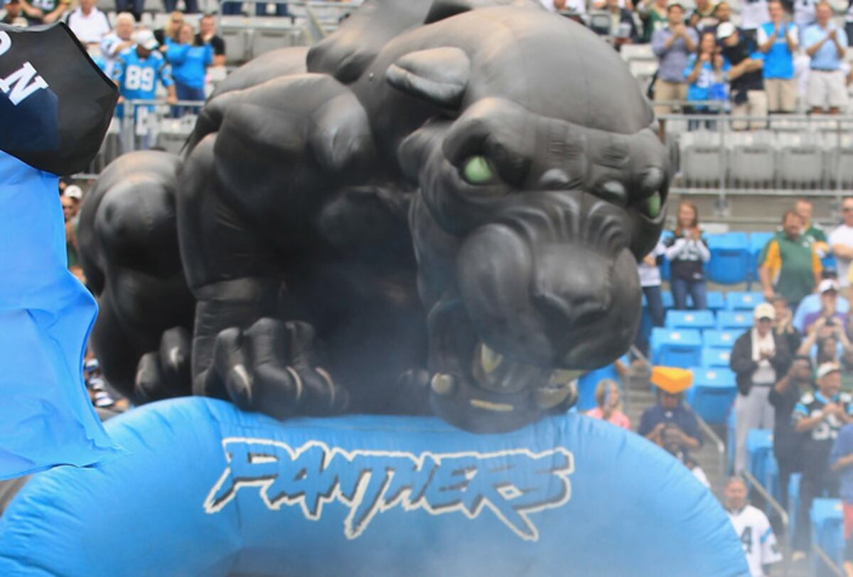 Carolina Panthers: 5 Reasons the Panthers Will Improve Their Record in ...