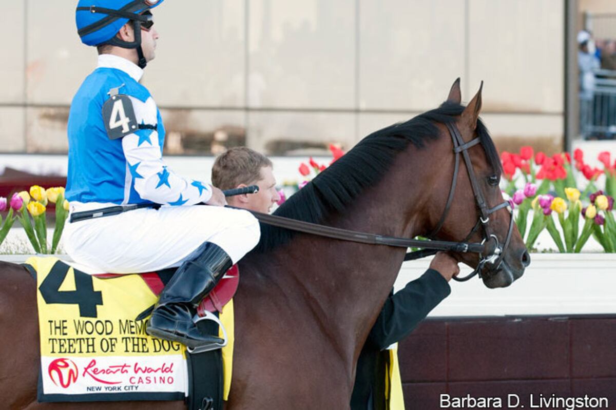 Preakness Post Positions: 4 Horses That Got Screwed in Draw | News ...