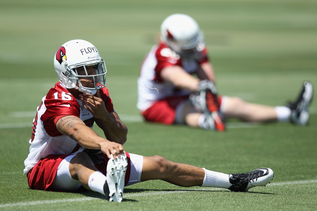 Arizona Cardinals: Why Michael Floyd Will Be Week 1 Starter at Wide ...
