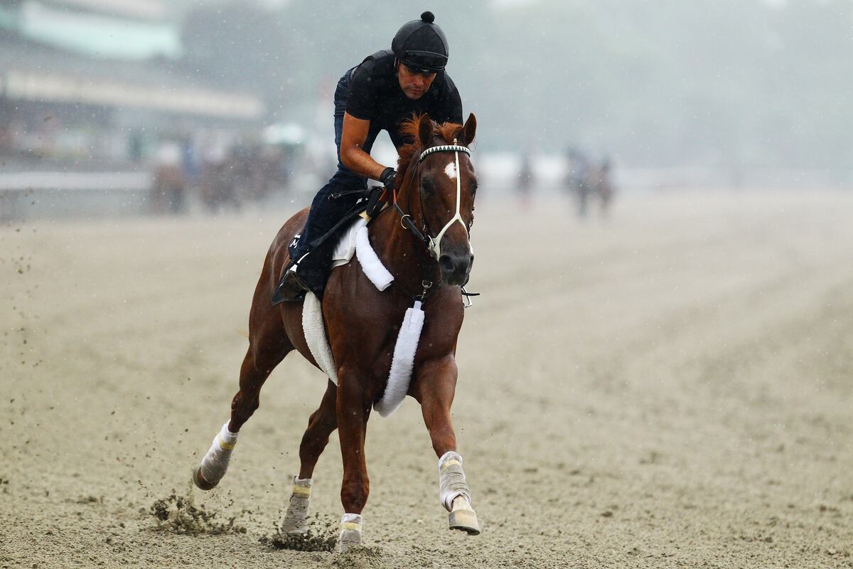 Belmont Stakes 2012: I'll Have Another Winning Wouldn't Save Horse ...