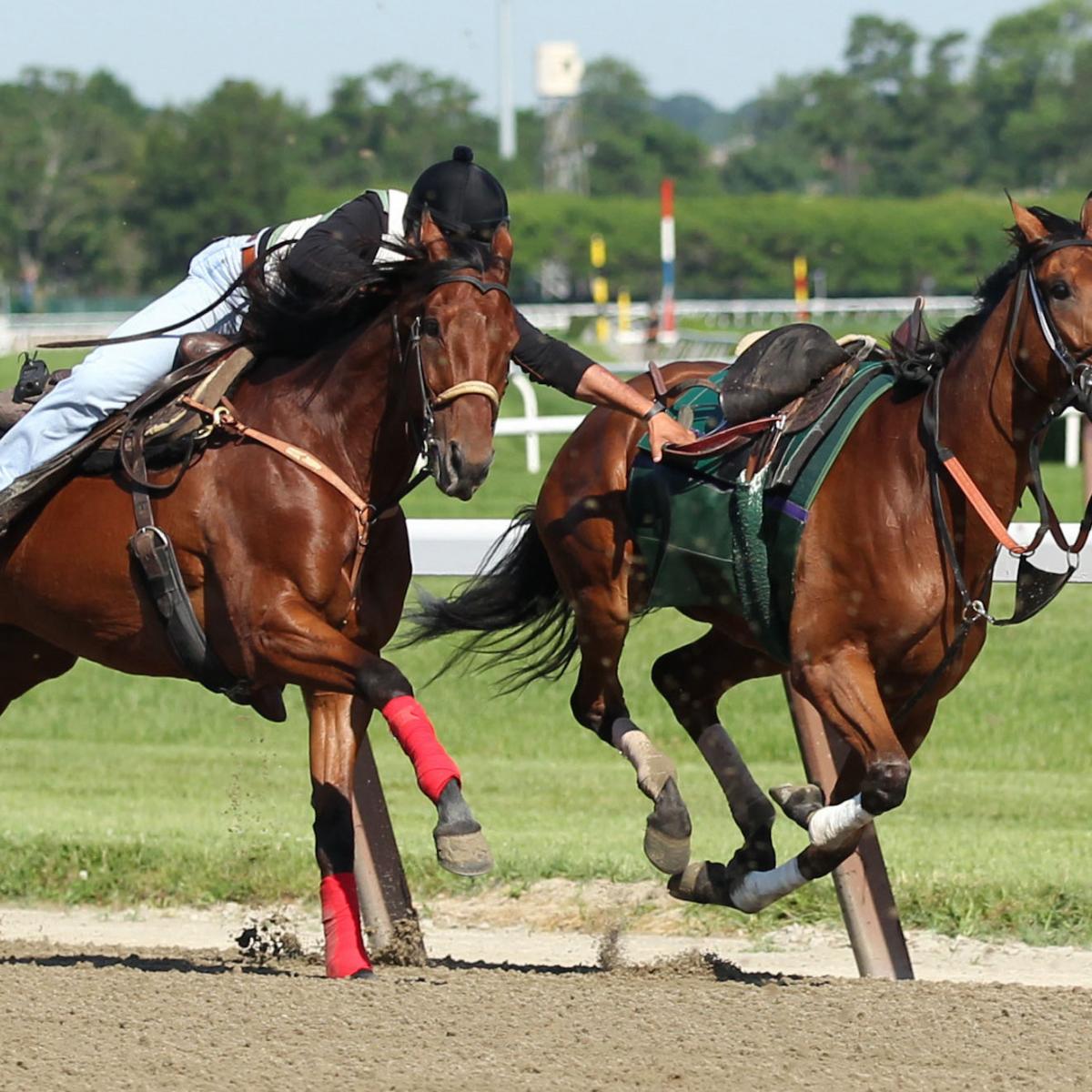 I'll Have Another: Triple Crown Contender Narrowly Avoids Collision in ...