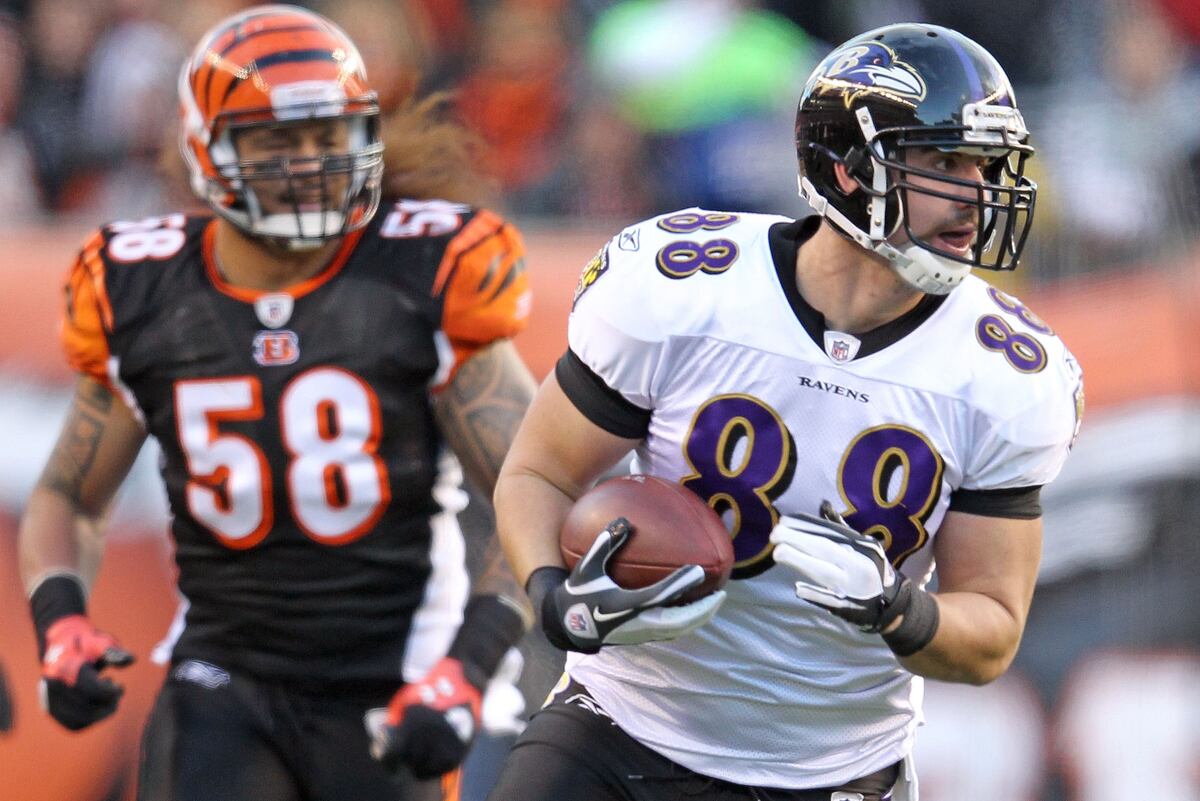 Spotlighting the Baltimore Ravens' TE Position Heading into the 2012 ...