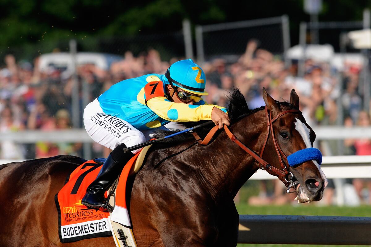 I'll Have Another Goes Down: Now, Paynter Is Horse to Watch at Belmont ...