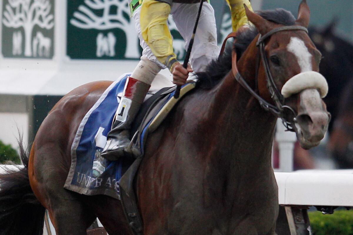 Union Rags Pedigree: How Belmont Stakes Winner Beat the Odds | News ...