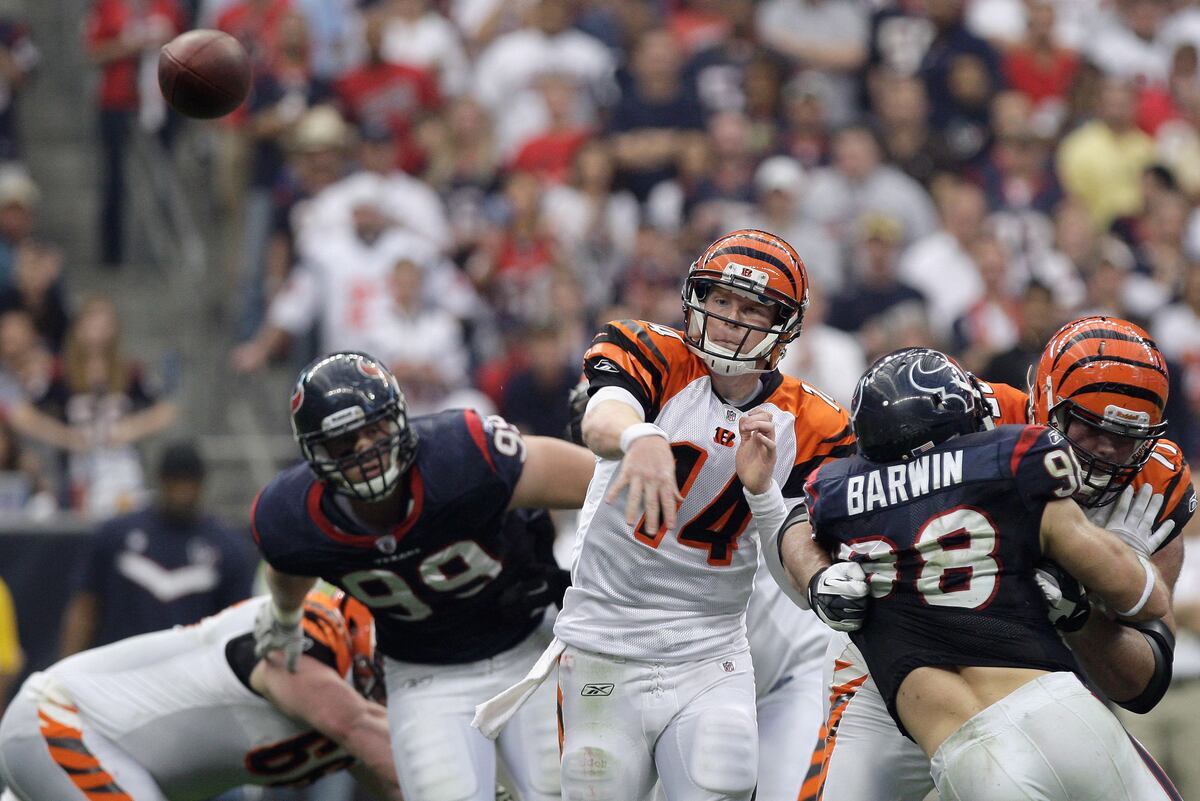 What Training Camp Can't Teach Us About the Cincinnati Bengals | News ...