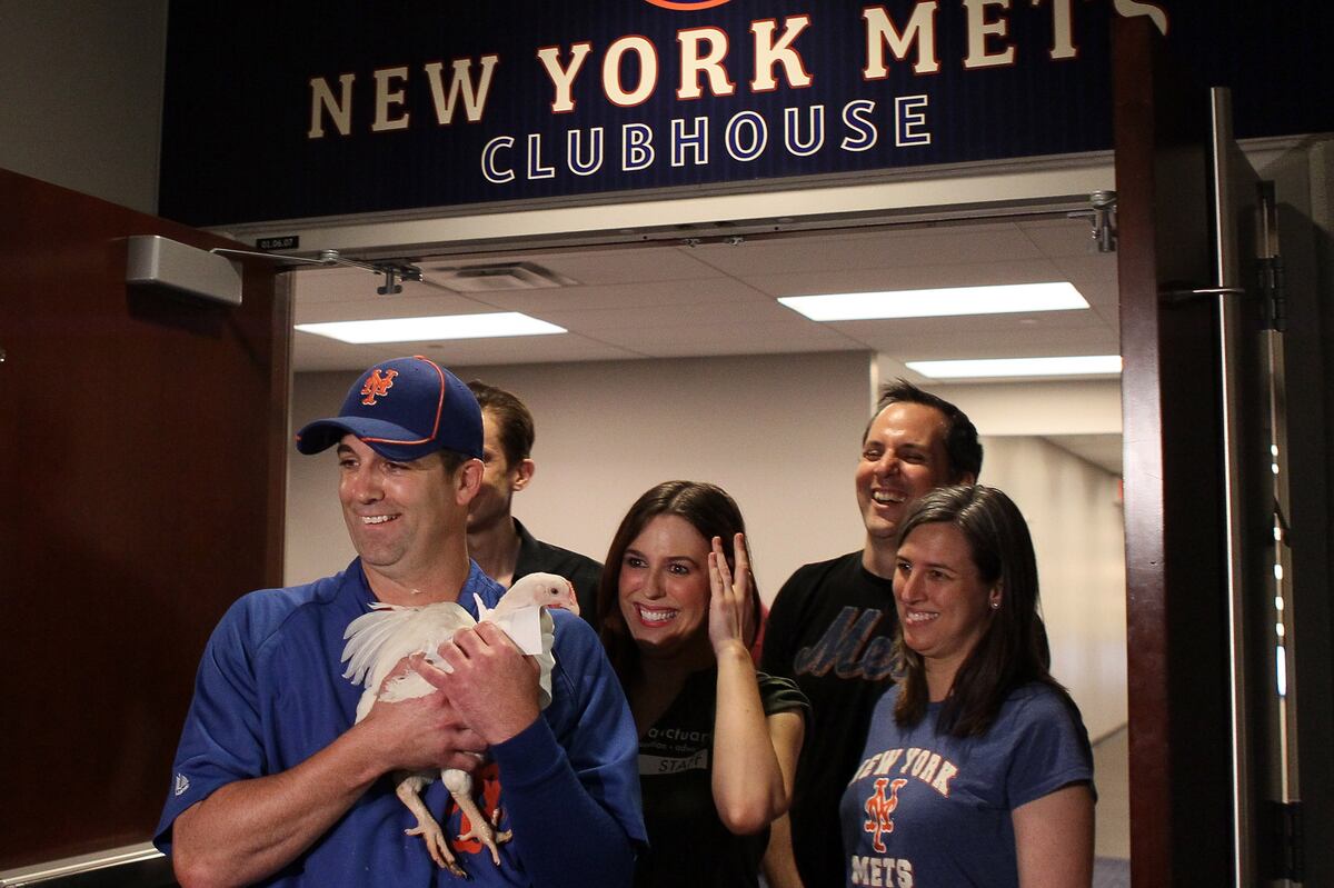 MLB's Strangest Clubhouse Incidents and Urban Legends of All Time ...