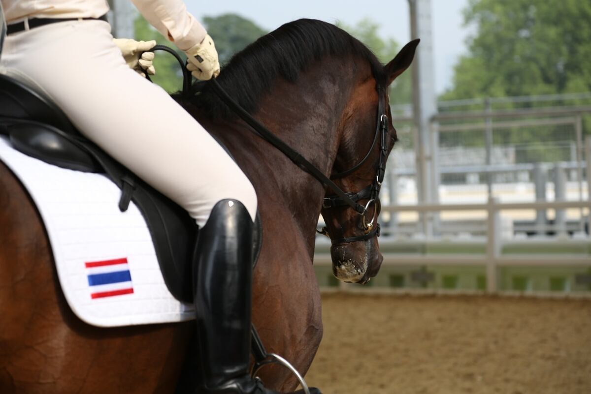 Road to the Olympics: Nina Ligon, Equestrian | News, Scores, Highlights ...