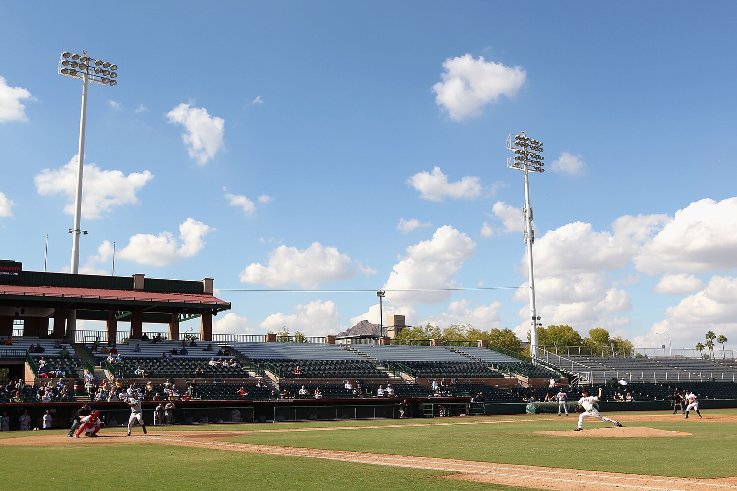 Top 10 Best Logos in Minor League Baseball | Bleacher Report