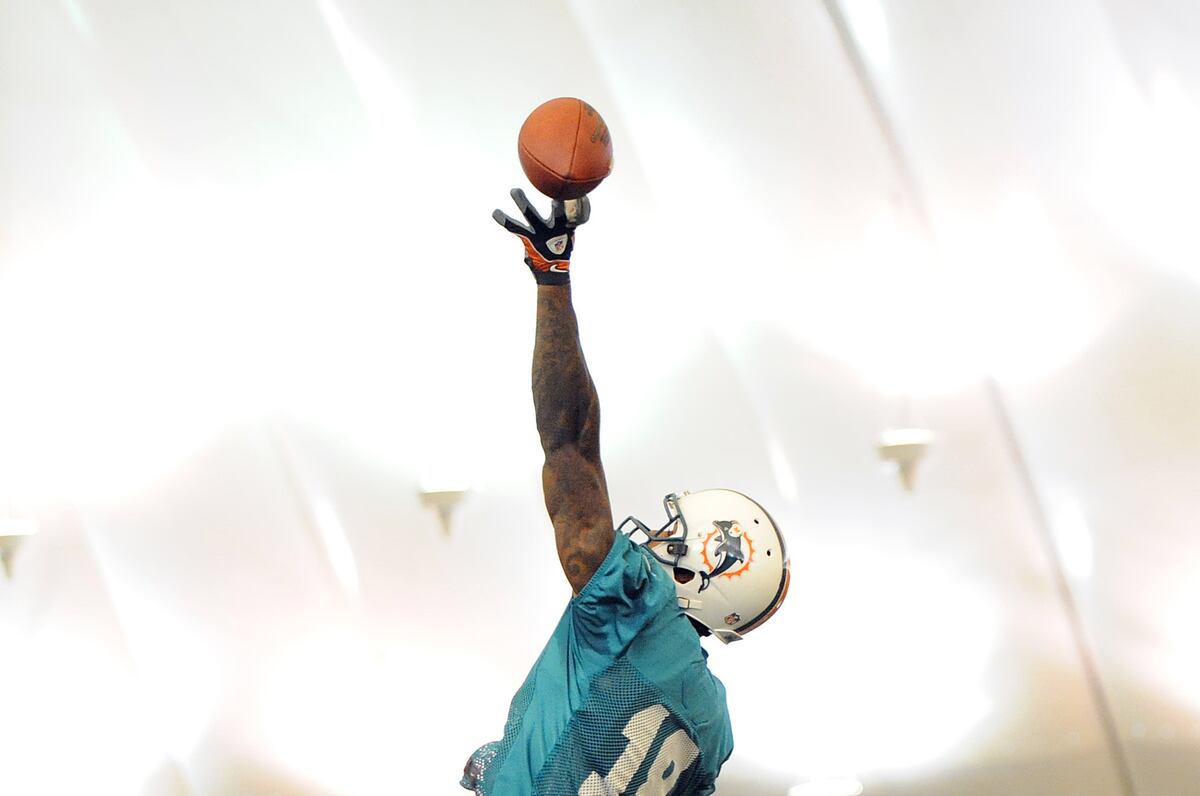 Surprising Stars Emerging from the 2012 NFL Preseason | News, Scores ... Surprising Stars Emerging from the 2012 NFL Preseason | News, Scores ...
