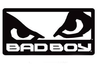 A Day at Bad Boy: The Original Brand of Mixed Martial Arts and the UFC ...