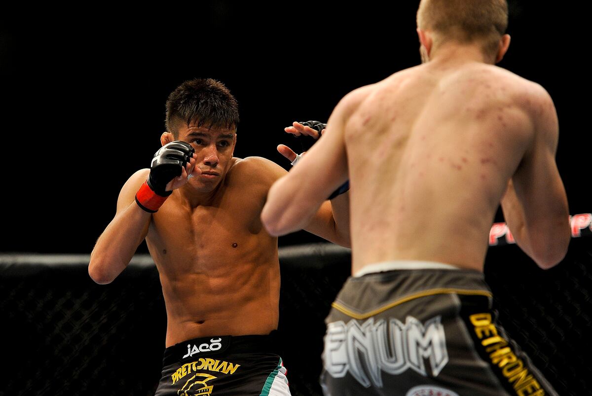 World Series of Fighting and the Hopes of Alternative MMA Outlets ...