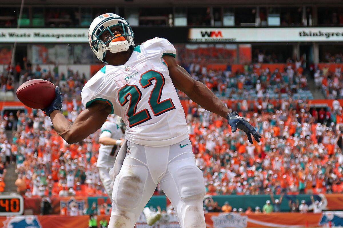 Miami Dolphins: Why Reggie Bush's Preseason Prediction Wasn't so Crazy ...