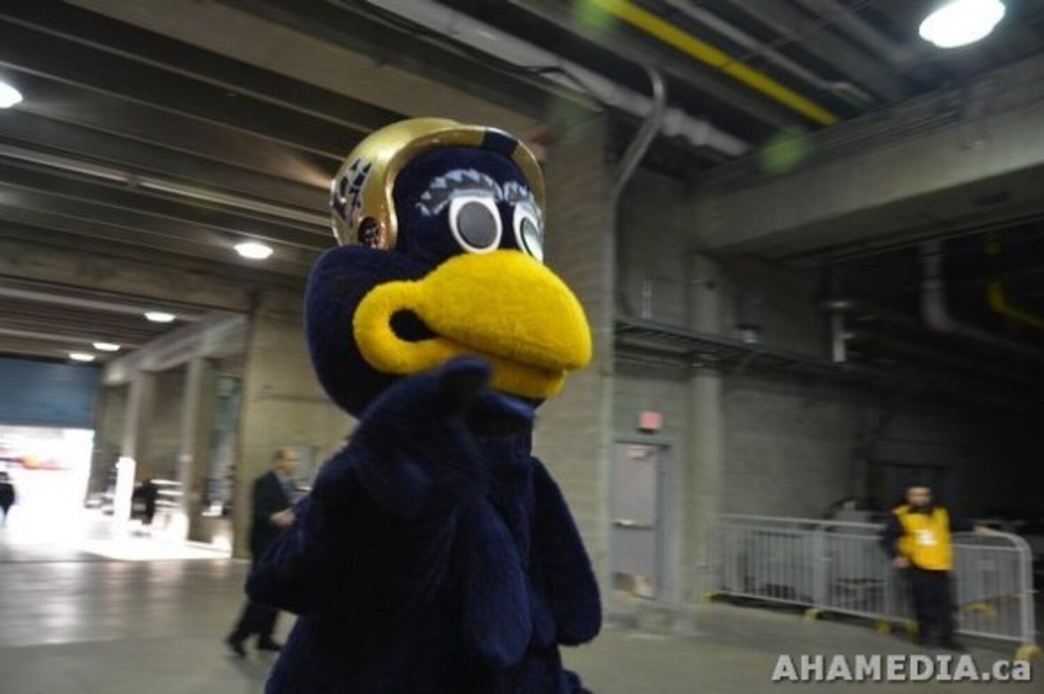 Buzz And Boomer Winnipeg Blue Bombers - lerfasr