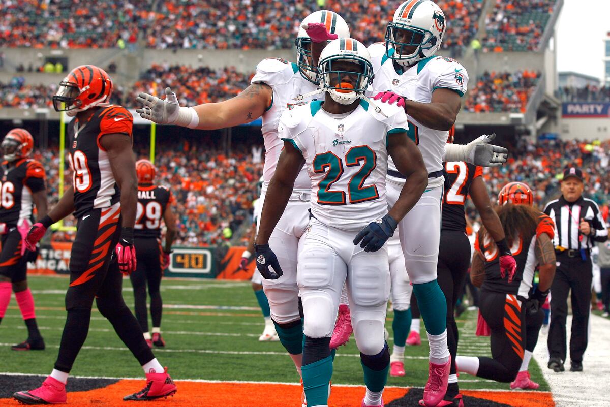 Miami Dolphins: How Serious Is Reggie Bush's Injury? | News, Scores ...