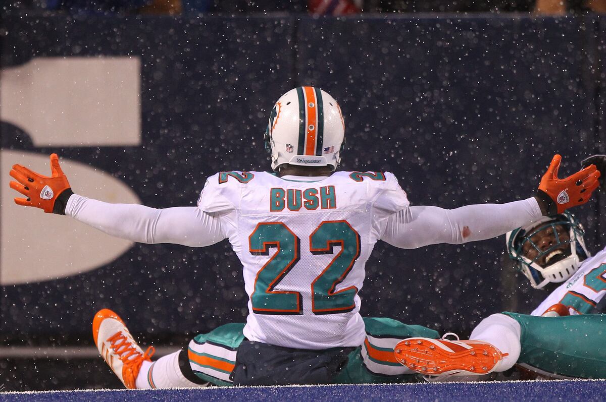 Miami Dolphins: 5 Reasons Reggie Bush, Running Game Will Expose Bills ...