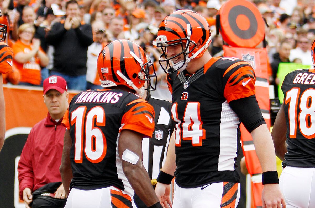 Cincinnati Bengals Progress Report: Where Do Things Stand Headed into ...