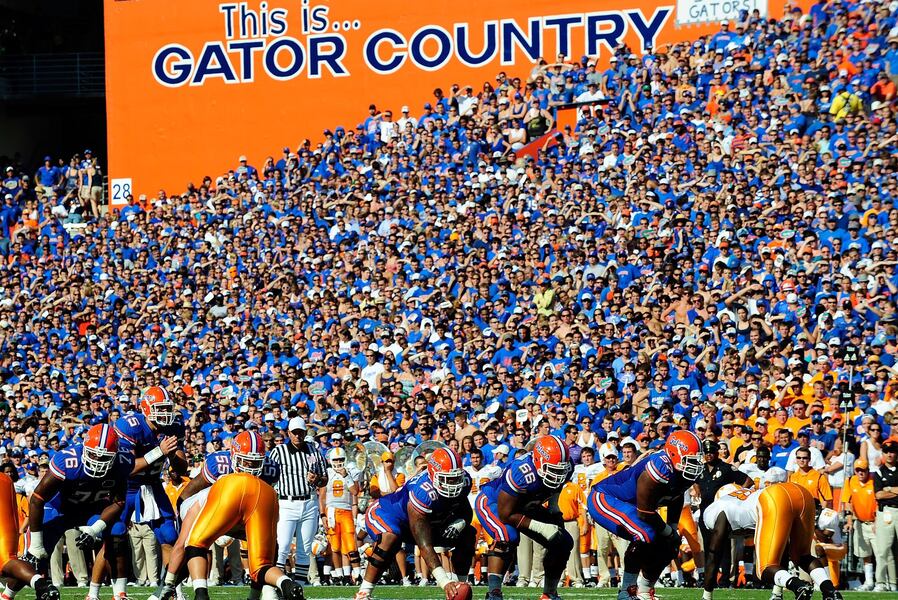Florida Gators The Swamp