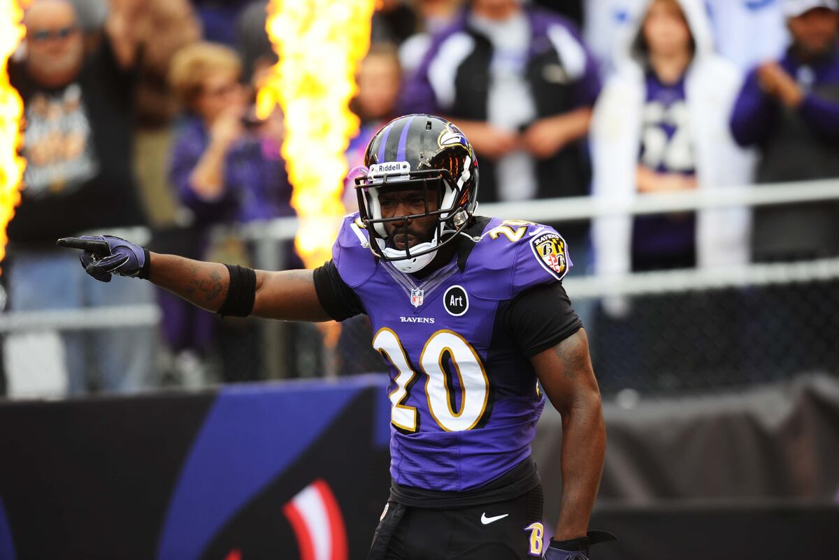 Ed Reed Suspension Won't Stop the Dangerous Hits Seen on a Weekly Basis ...