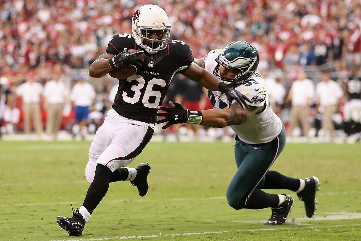 Philadelphia Eagles Cut Jason Babin with an Eye Toward the Future ...