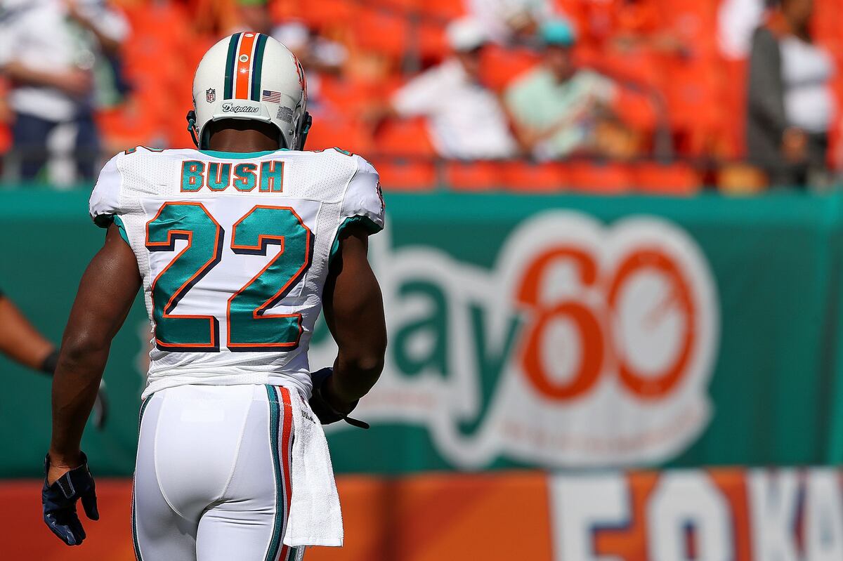 Miami Dolphins: Should the 'Phins Re-Sign Reggie Bush or Let Him Walk ...