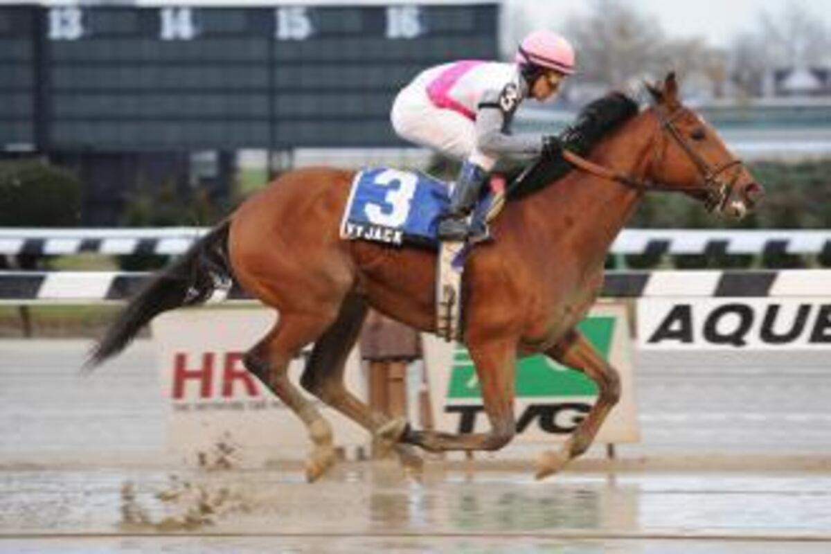 Vyjack Outfinishes Siete De Oros to Win the Jerome Stakes | News ...