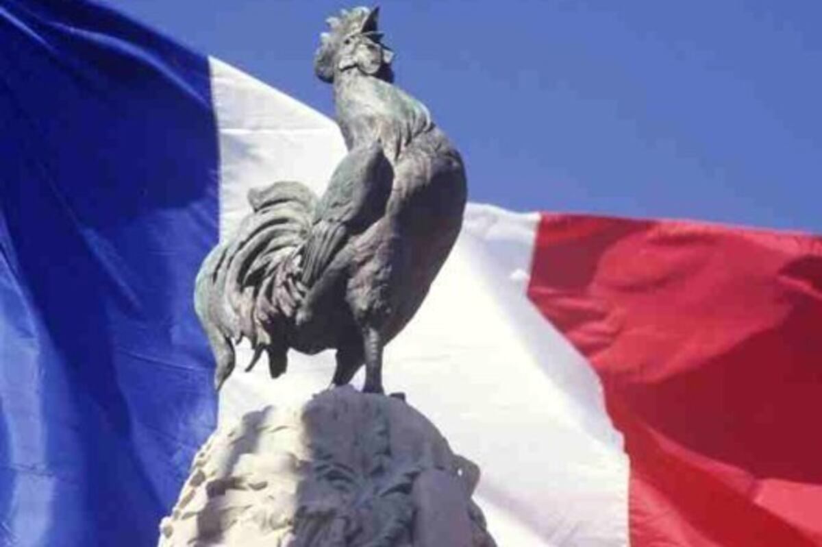 Rugby Union: Power Ranking Rugby Heraldry | News, Scores, Highlights ...