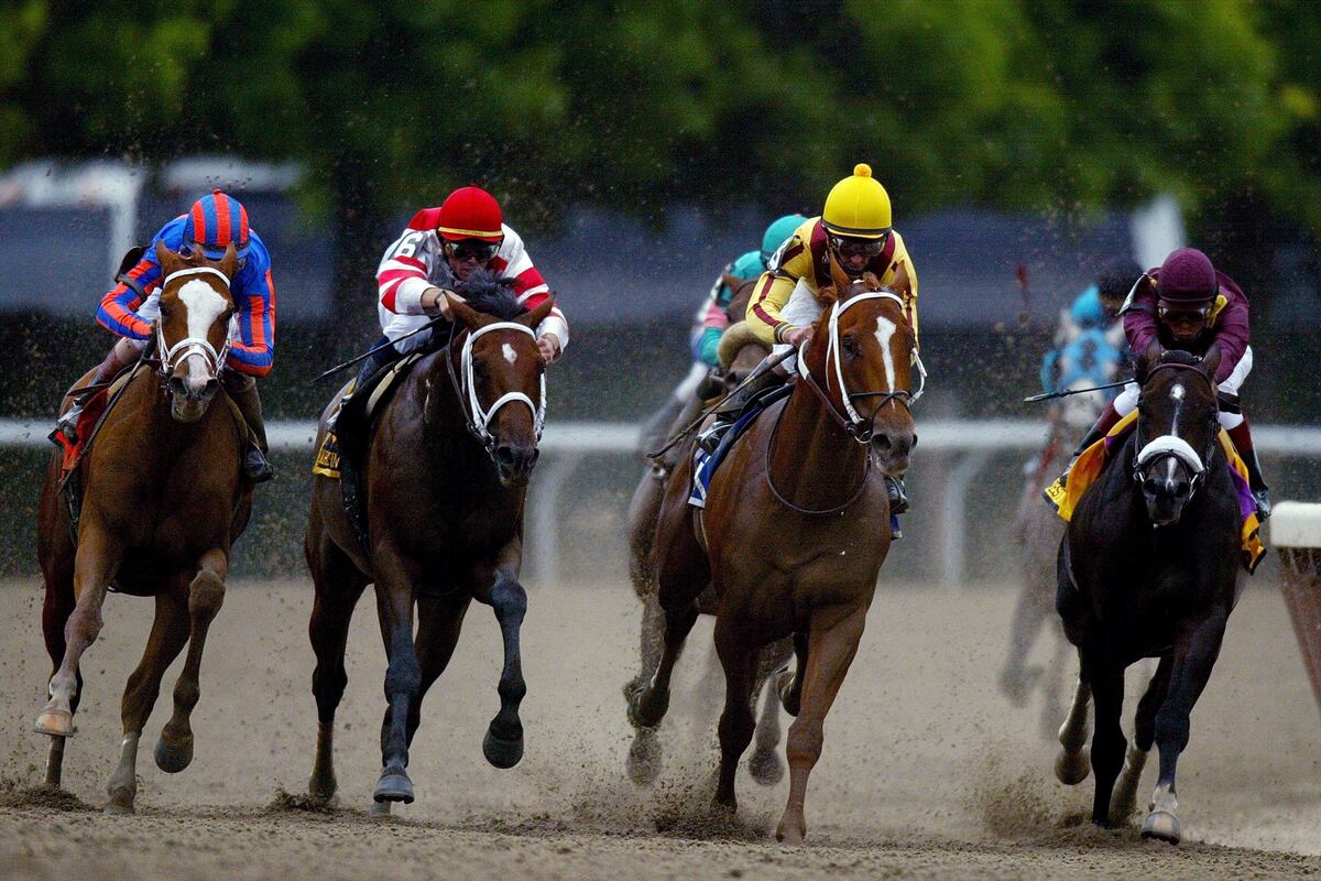 Weekend Rewind Feb. 23-24: A Look Back at the Weekend Stakes Highlights ...