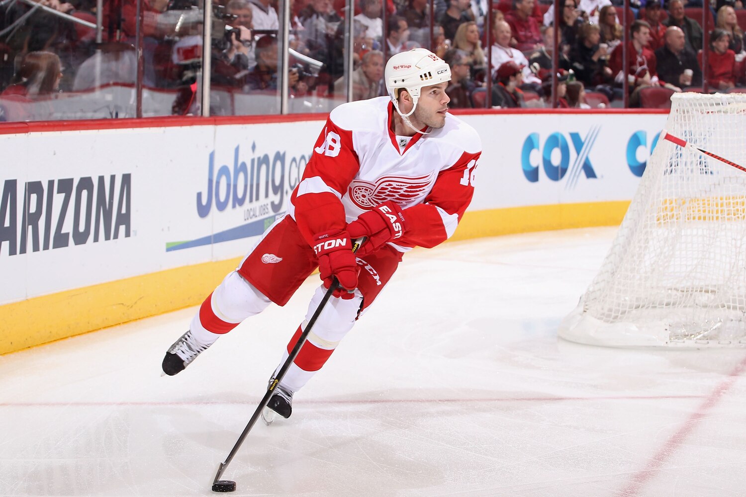 Red Wings: 5 Questions Concerning the Trade Deadline | Bleacher Report
