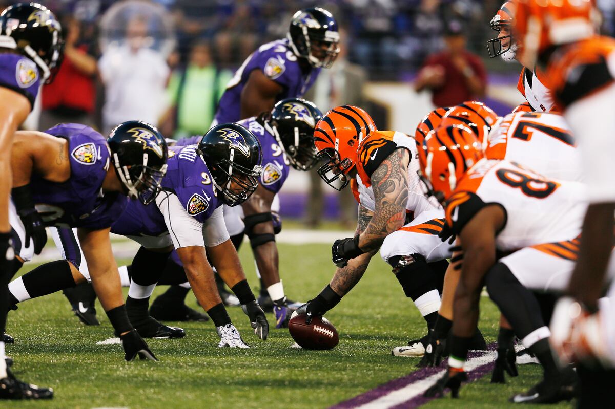 2013 Free Agency: Where Do the Cincinnati Bengals Stand in the AFC ...