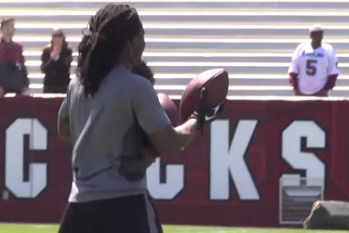Watch Ace Sanders Field Punt While Holding 3 Footballs at South ...