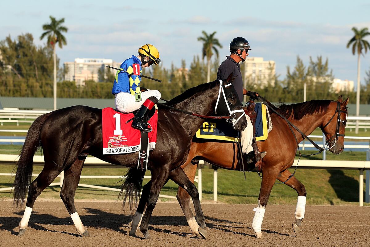 BC Juvenile Champion Shanghai Bobby Out of the Triple Crown Trail ...