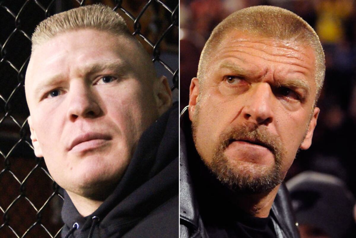 Triple H Defeats Former UFC Champion Brock Lesnar at WrestleMania 29 ...