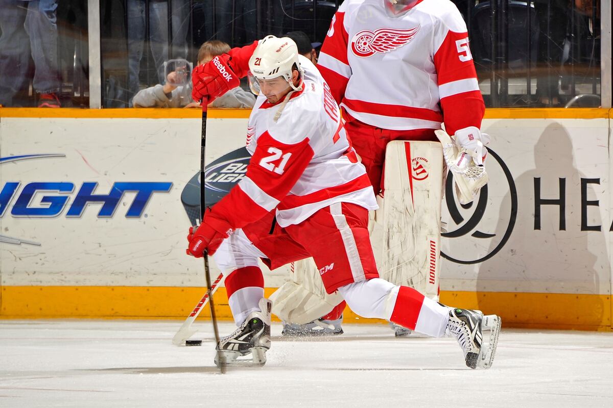 Red Wings: Ranking the 6 Brightest Futures of the Current Red Wings ...