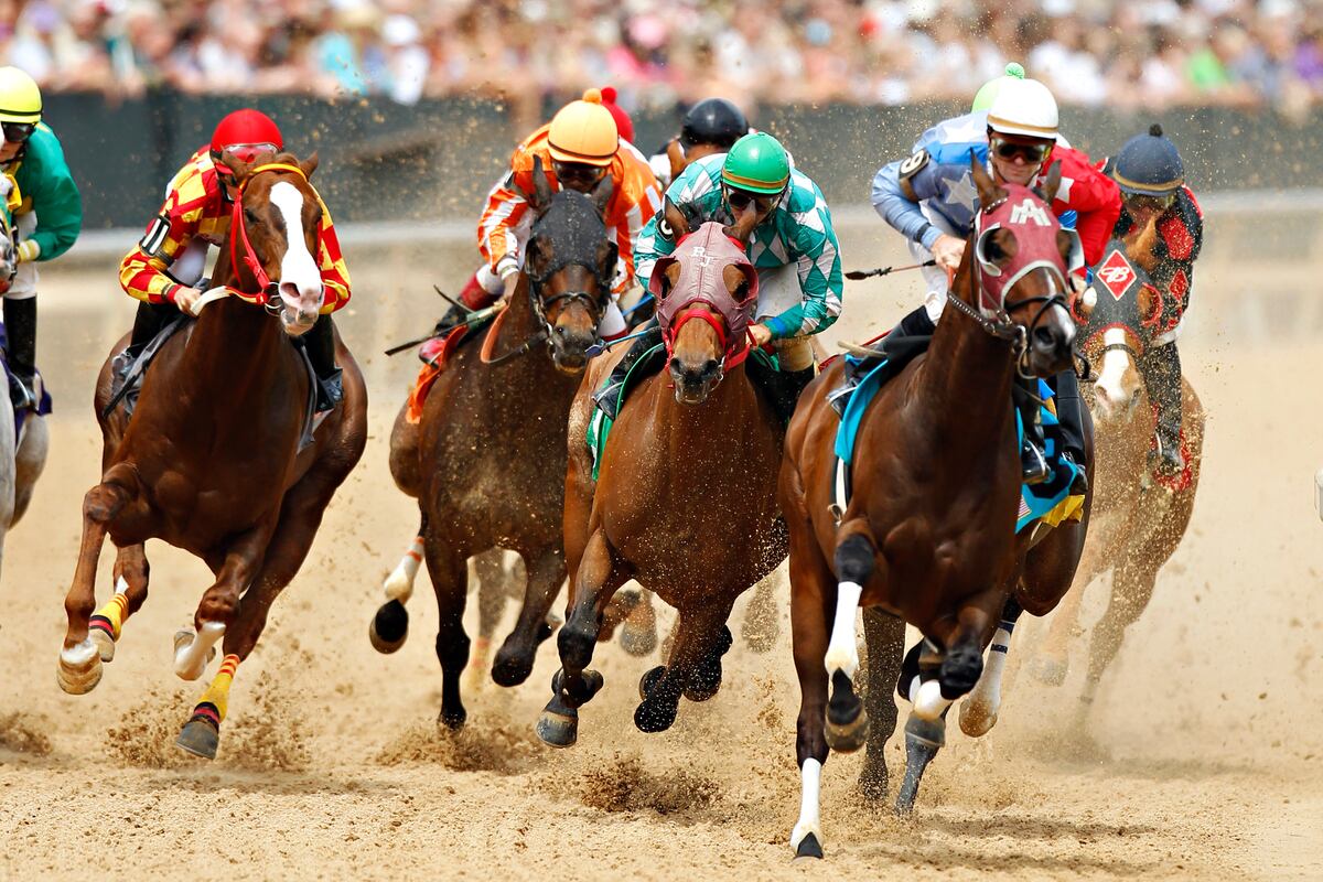 Arkansas Derby 2013: Biggest Takeaways from Oaklawn Park | News, Scores ...