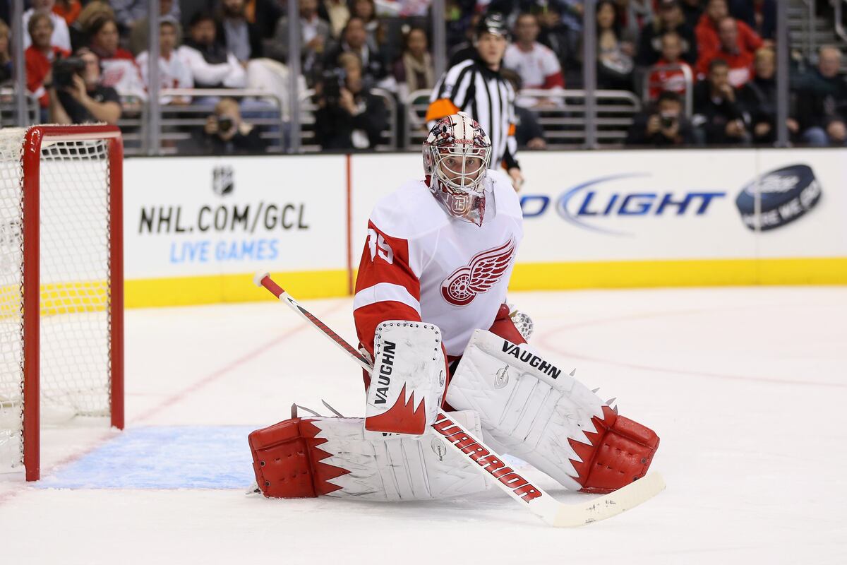 Detroit Red Wings: Jimmy Howard's Contract Extension a Great Move ...