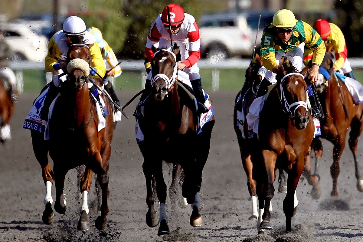 Kentucky Derby Preps: Derby Points Up for Grabs at Lexington Stakes ...