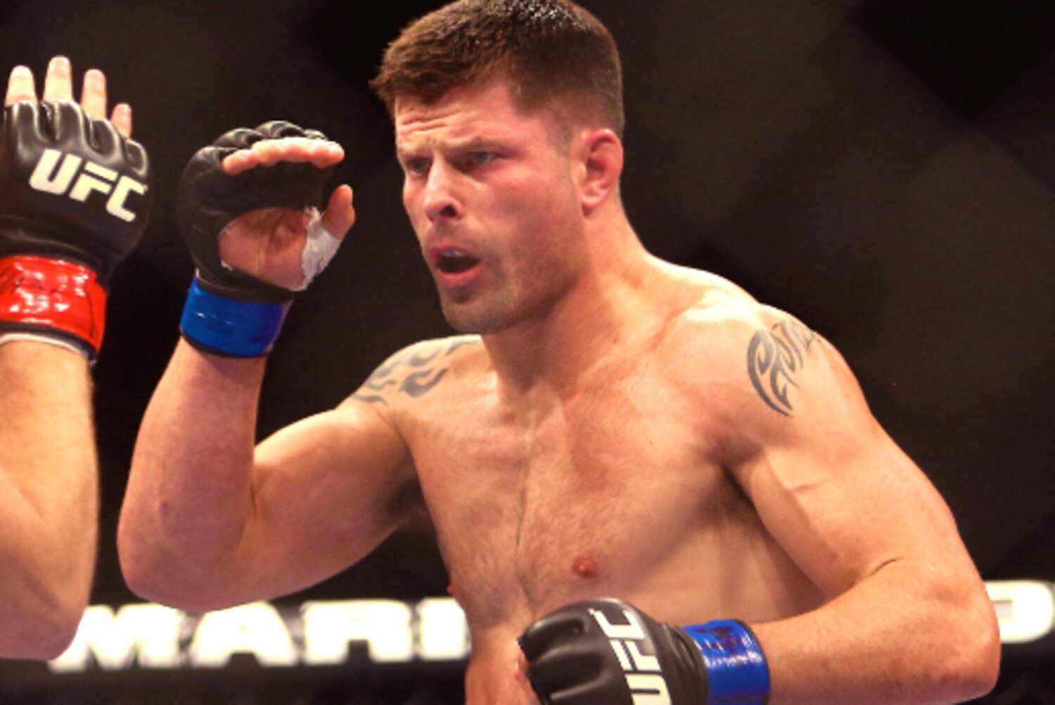 Fight of the Year Watch: May 2013 Edition | Bleacher Report