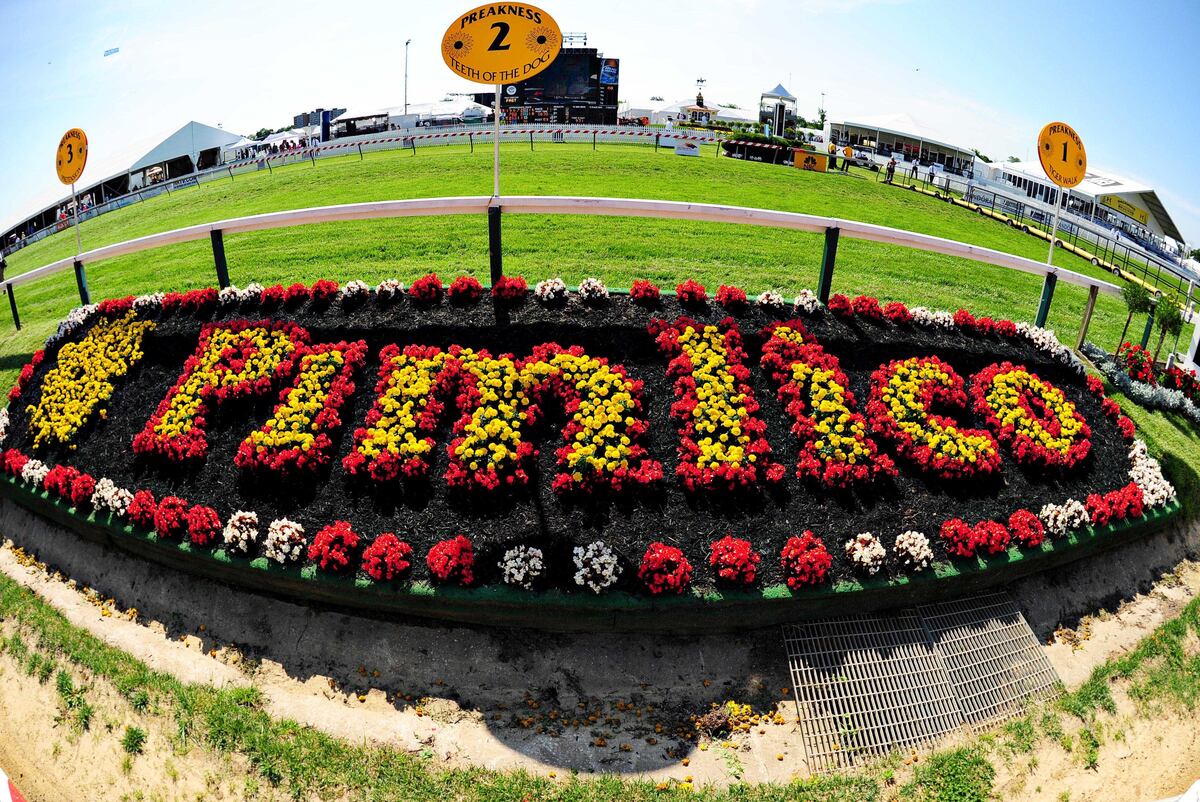 Preakness Infield 2013: Performers List, Daily Activities and ...