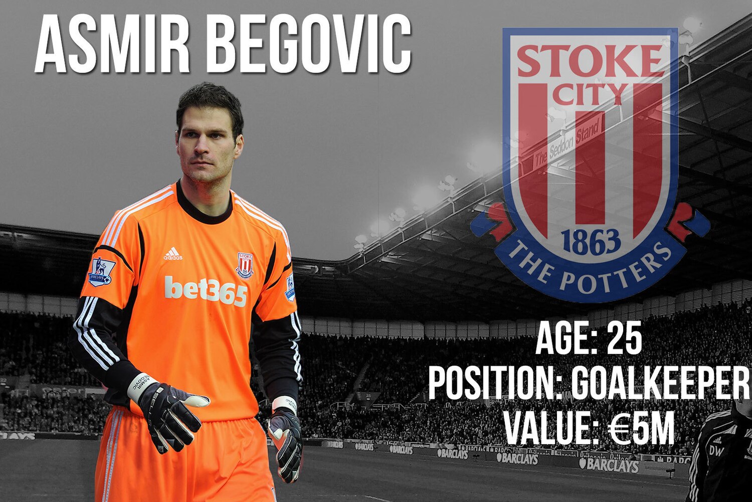 Asmir Begovic: Summer Transfer Window Profile and Scouting Report ...